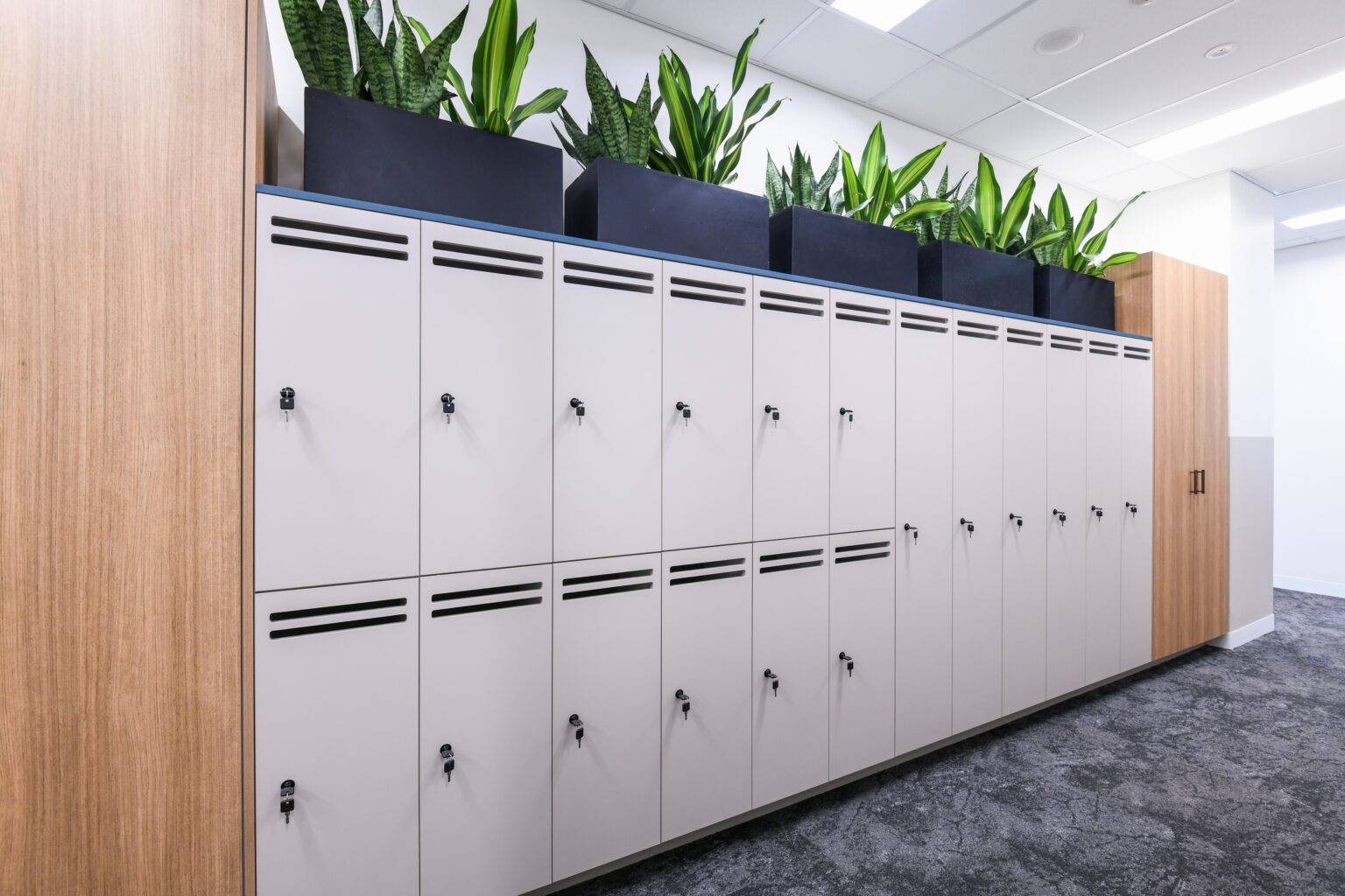 NAATI Testing Solutions - NAATI